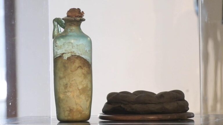 The Oldest Olive Oil In The World | Theolivetreeproject.com